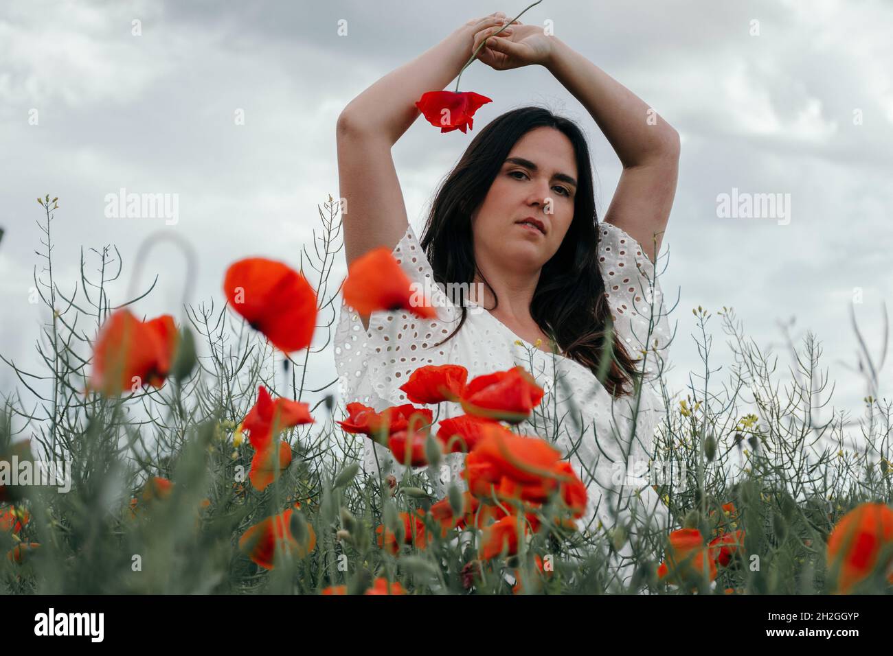 Woman in poppy field hi-res stock photography and images - Alamy