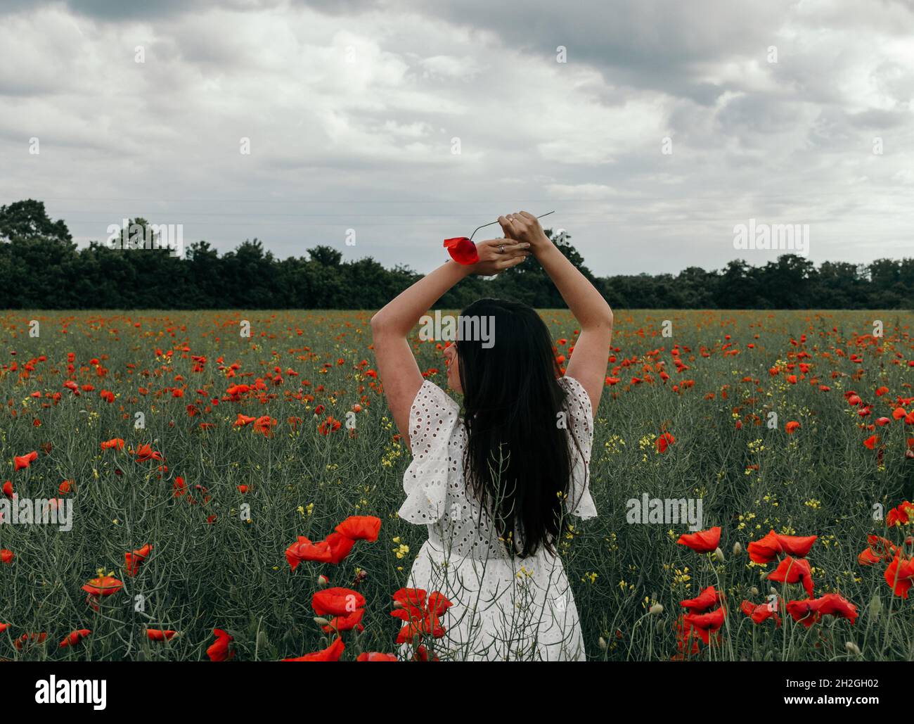 Beautiful young woman wearing white dress, standing in poppy field ...