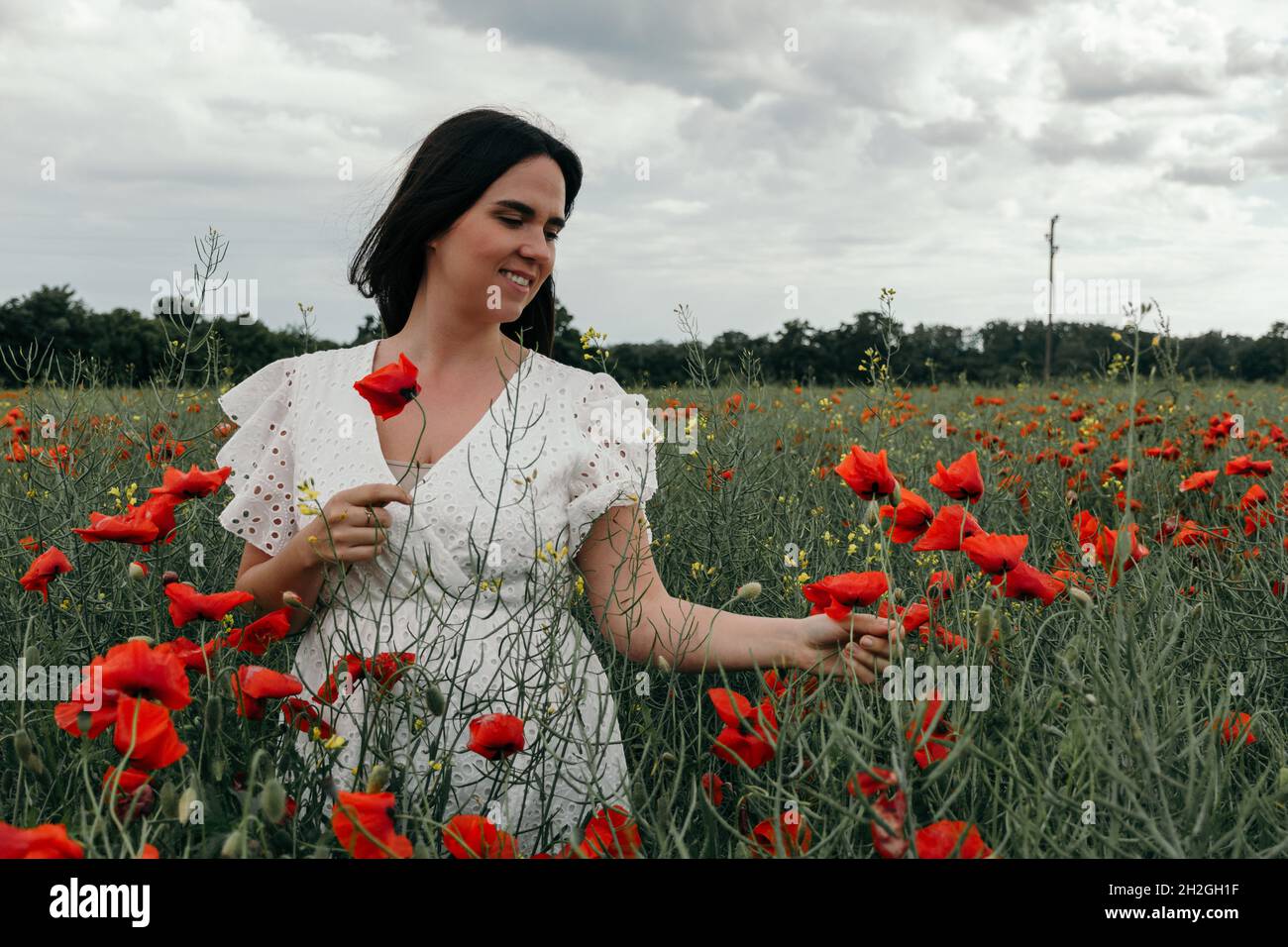 Beautiful young woman wearing white dress, standing in poppy field ...