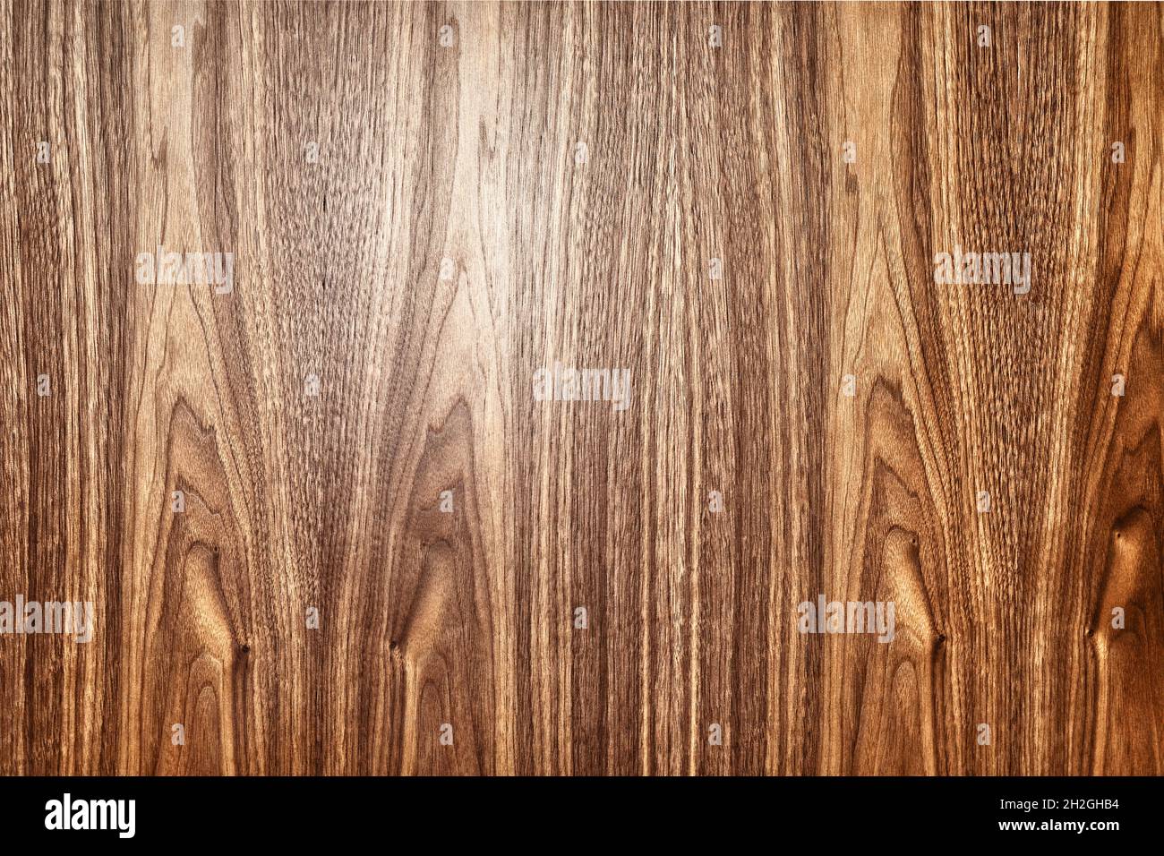 Dark Walnut Veneer Texture