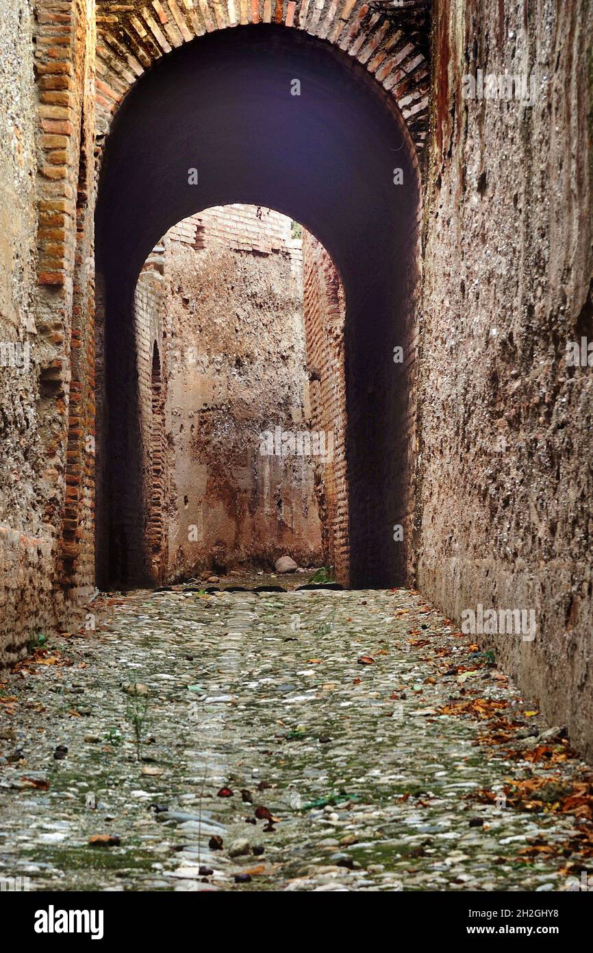 The Alhambra of Granada. Nazari monumental complex Stock Photo - Alamy