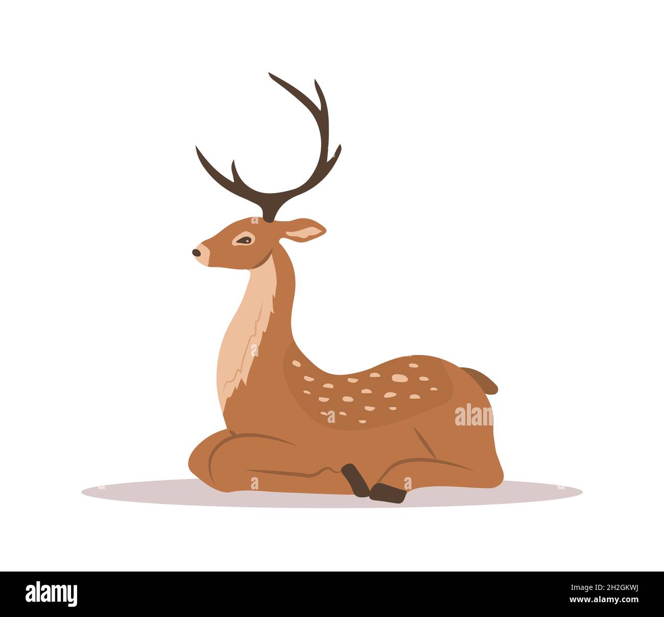 Stylized noble sika deer. Lying reindeer with antlers on white ...