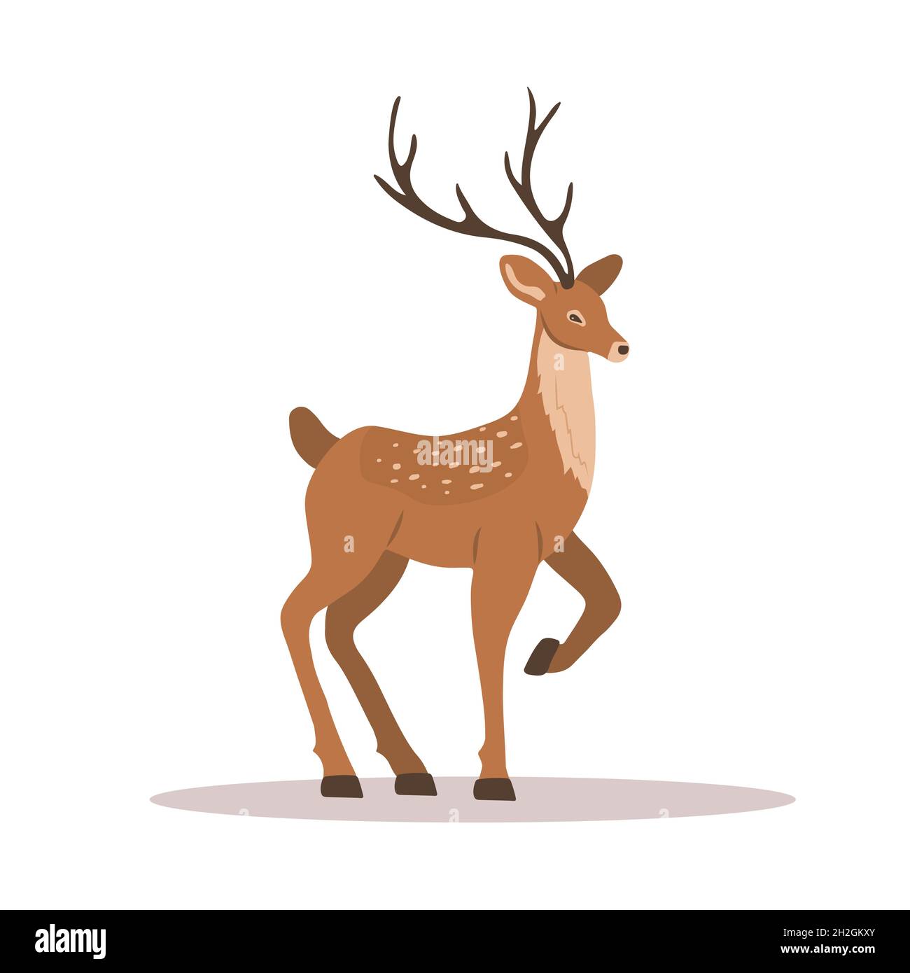 Baby sika deer Stock Vector Images - Alamy