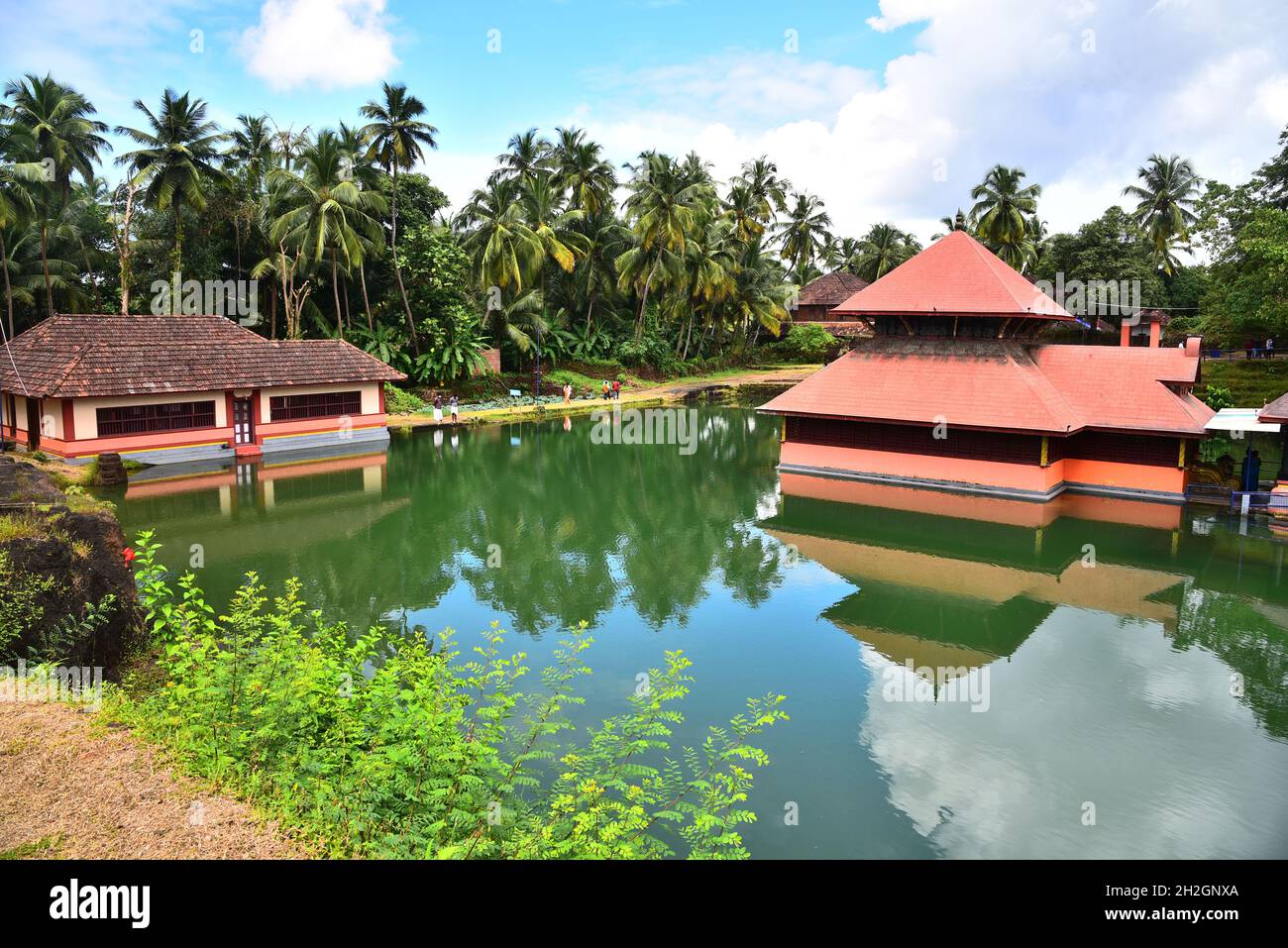 ananthapura lake temple,kasargod,kerala,india.This is the only lake ...