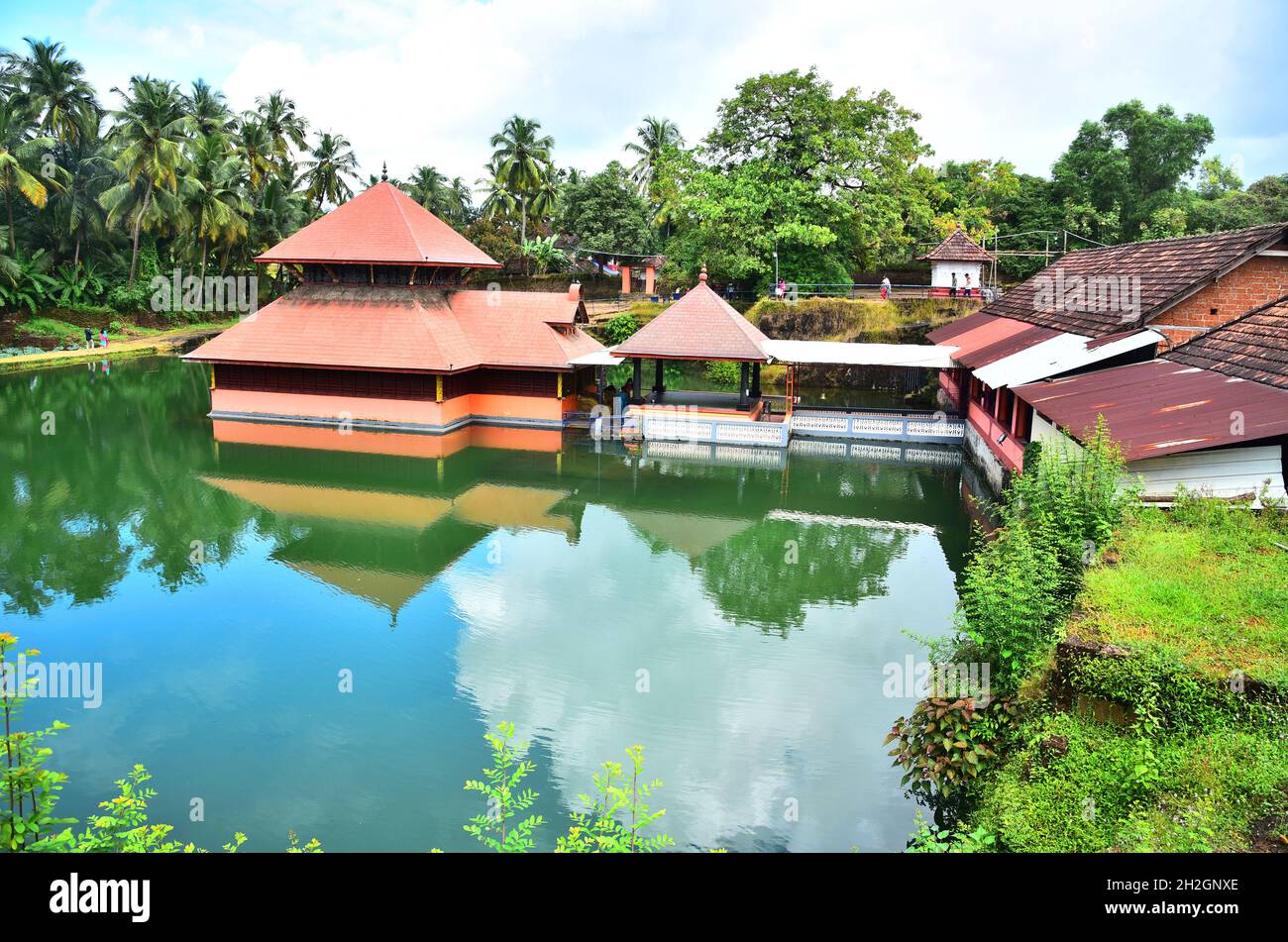 ananthapura lake temple,kasargod,kerala,india.This is the only lake ...