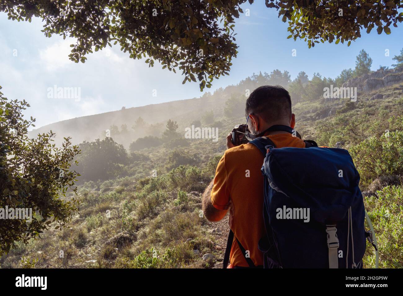 Male hiker trekking through the forest and taking photos with a camera ...