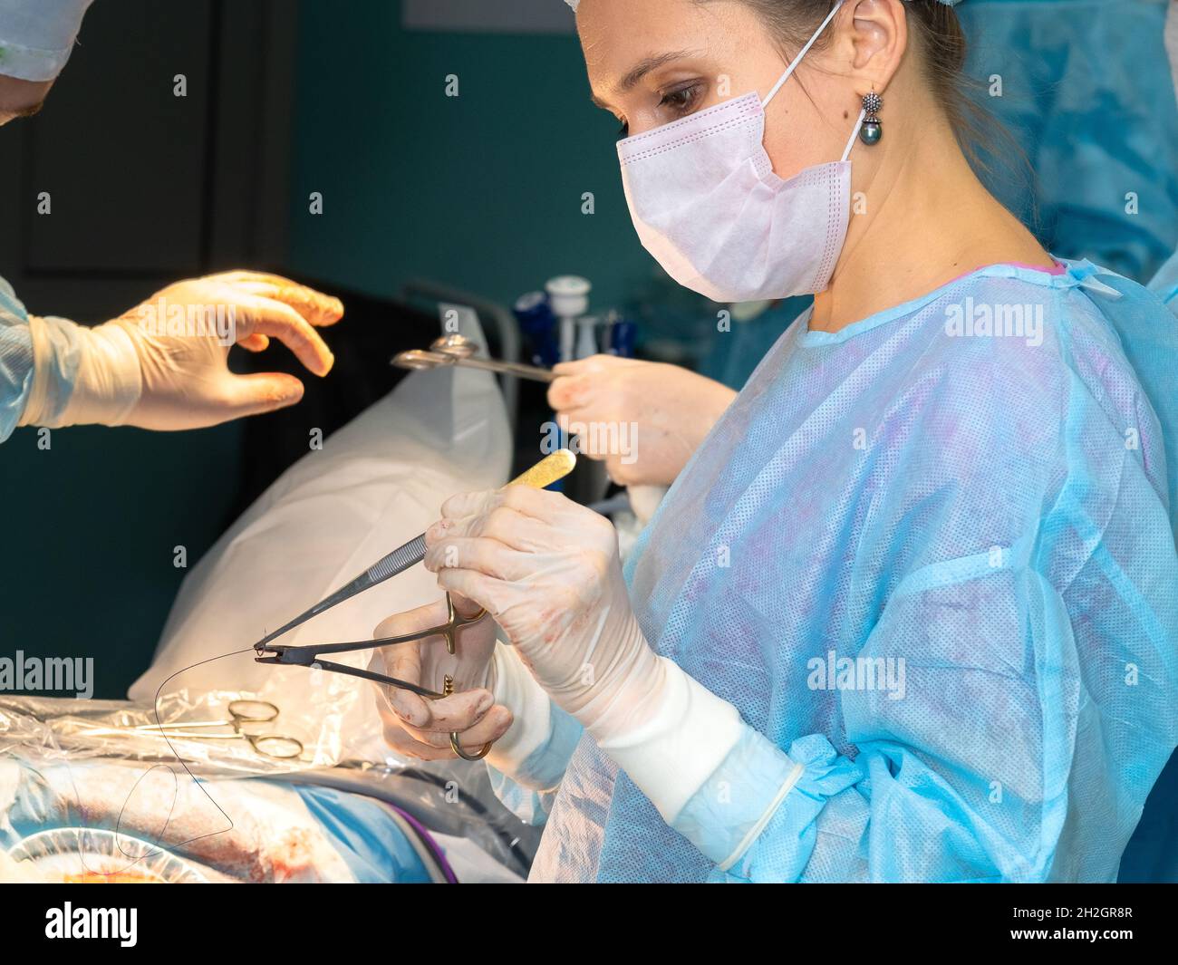 Female surgeon sutures the patient's skin during surgery. The doctor in ...