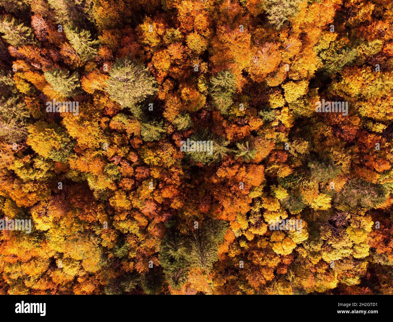 Aerial view fall foliage hi-res stock photography and images - Alamy