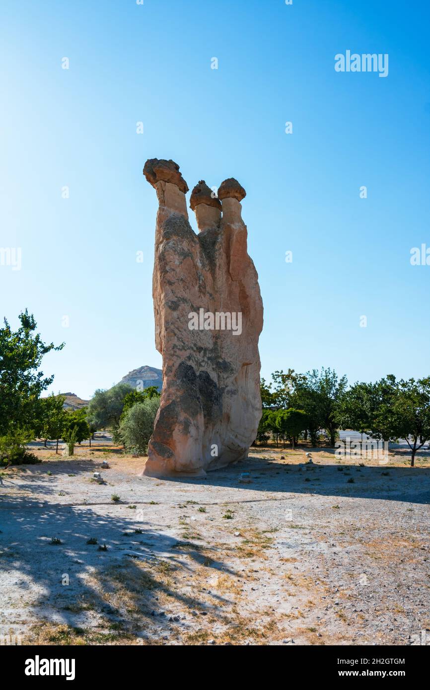 A fairy chimneys or peri bacasi on clear sky background in Cappadocia ...