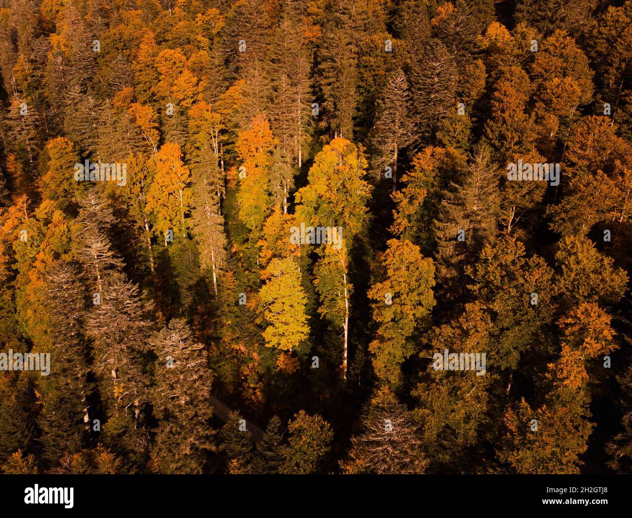 Fall foliage aerial hi-res stock photography and images - Alamy