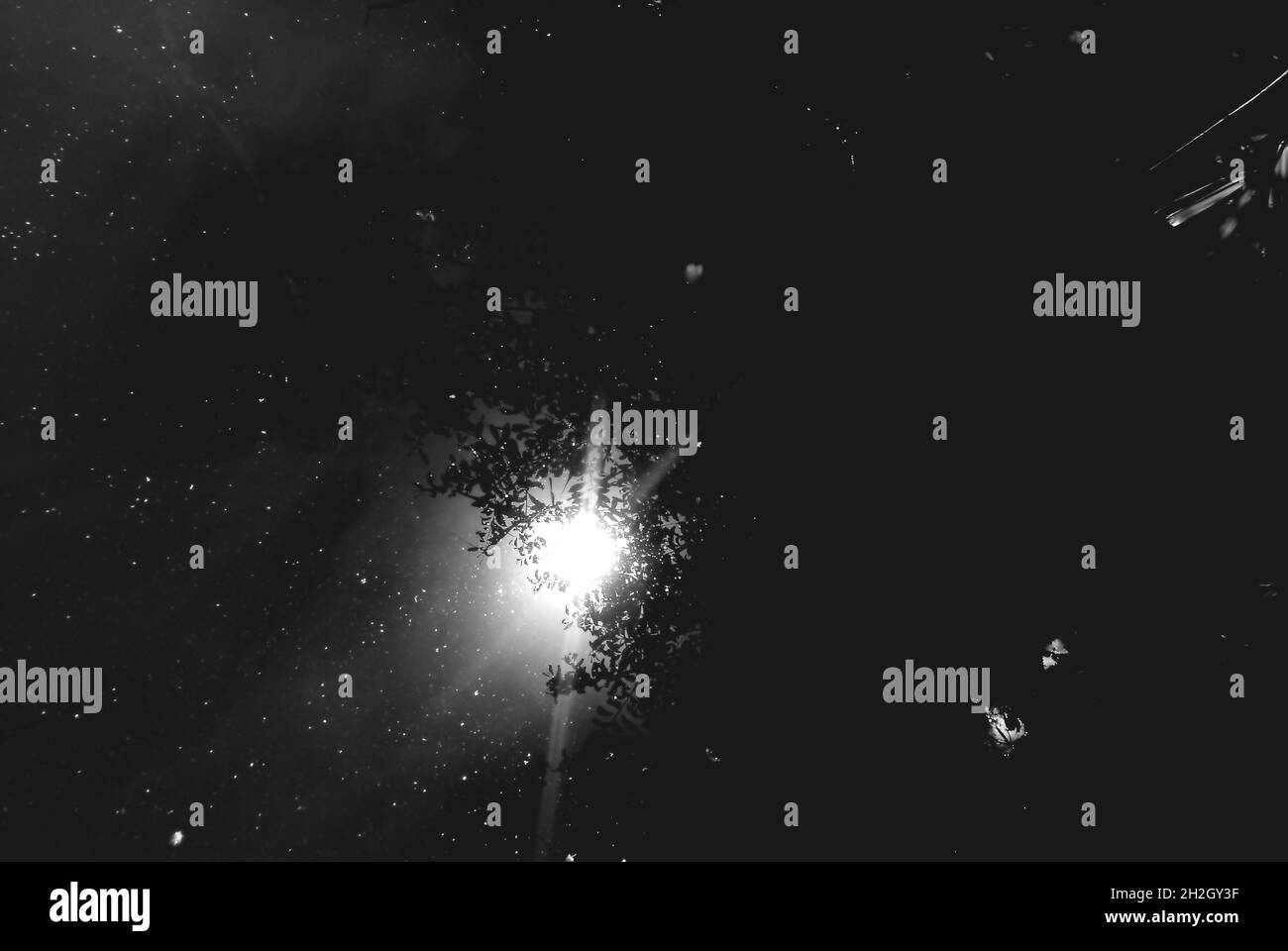 Blinding sun hi-res stock photography and images - Alamy