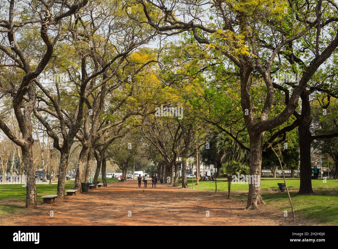 Horizontal view of a path flanked by trees in a Sarmiento Avenue public ...