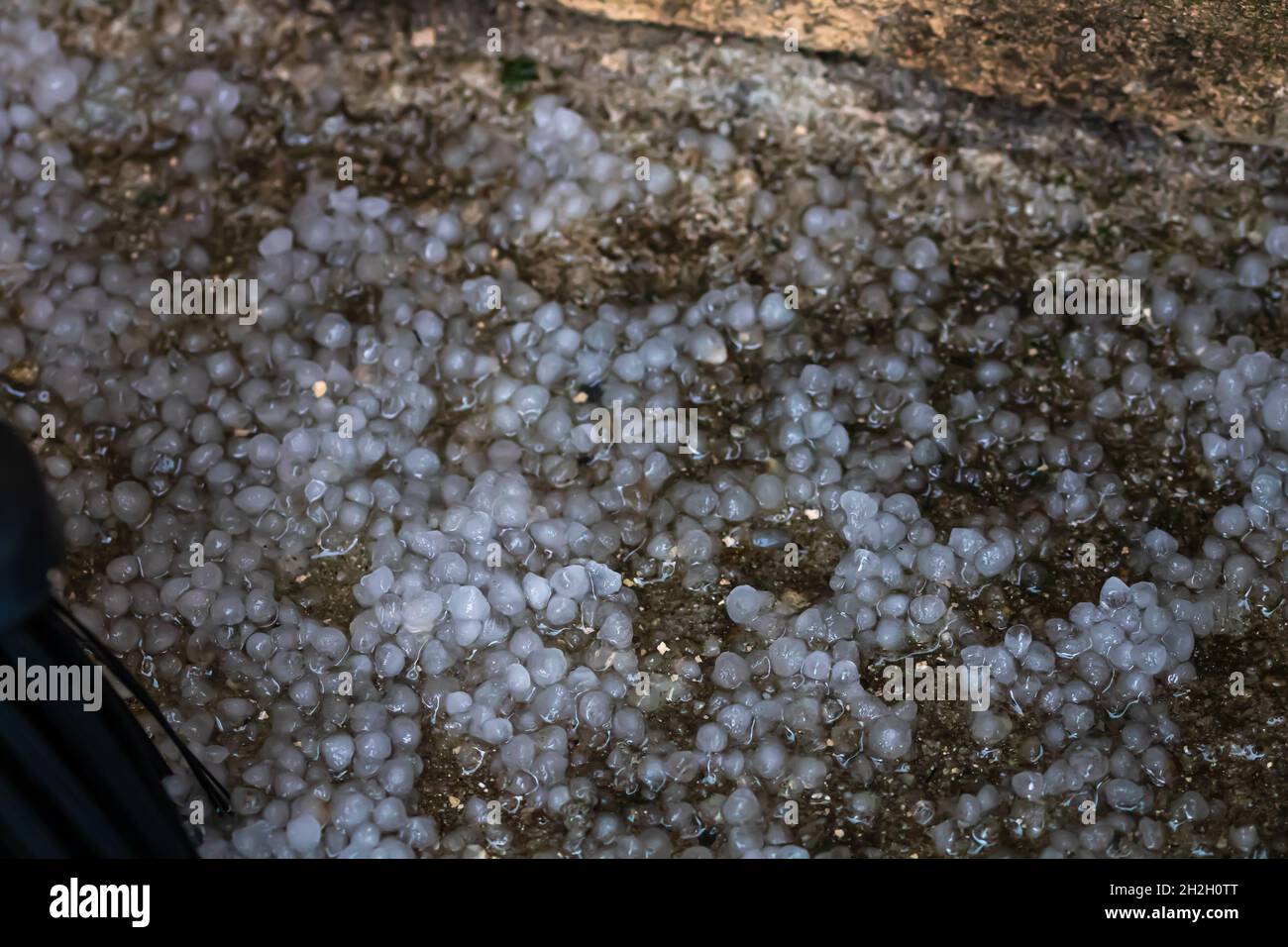 Selective focus of small hail balls on the ground - for backgrounds and ...