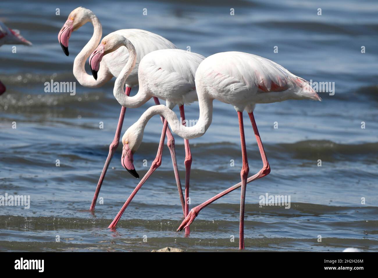 21 oct 2021 hi-res stock photography and images - Alamy