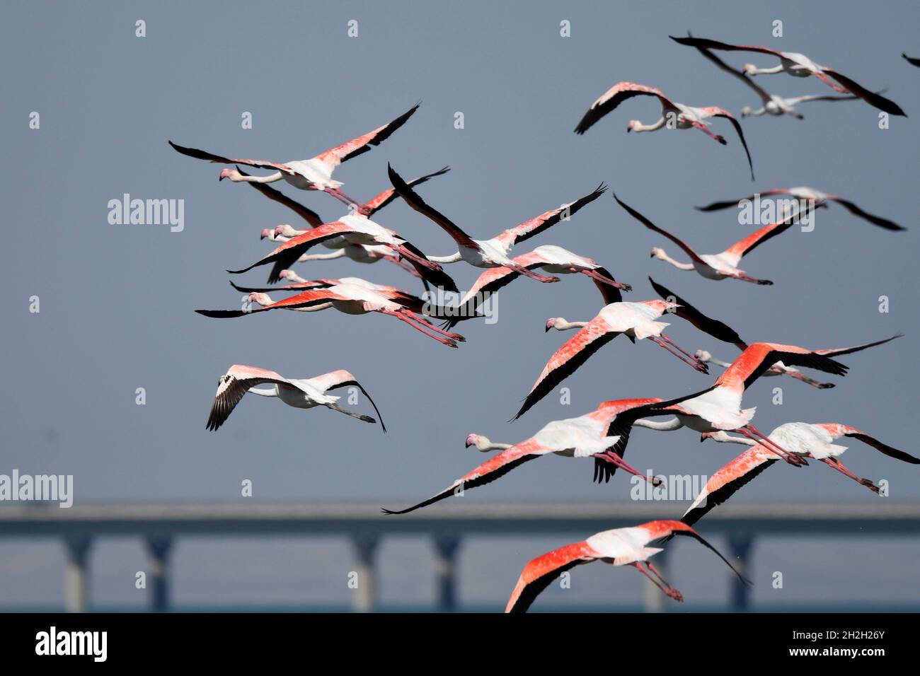 21 oct 2021 hi-res stock photography and images - Alamy