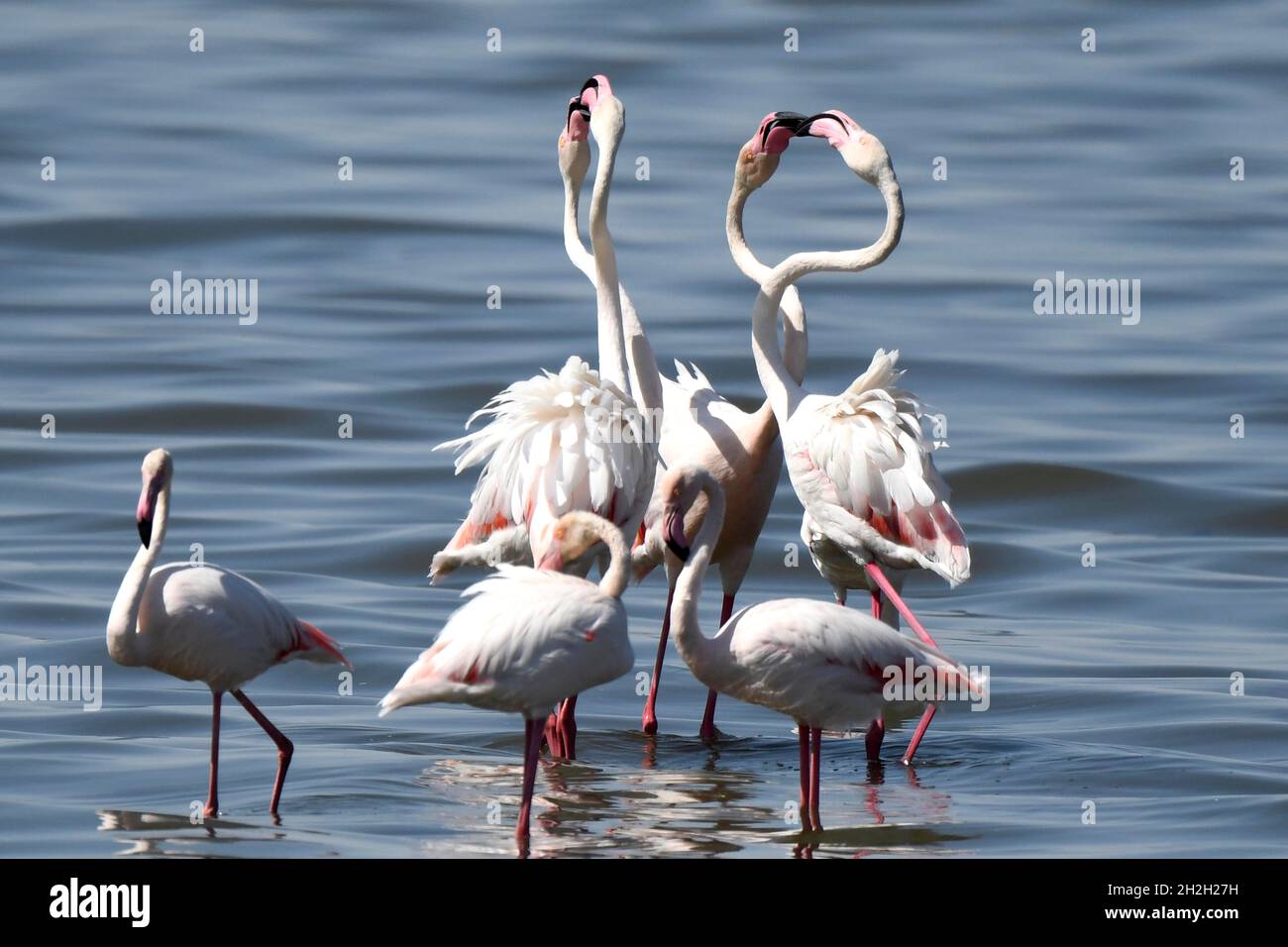 21 oct 2021 hi-res stock photography and images - Alamy