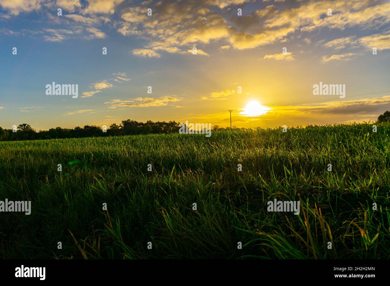 Sunrise over a grassland hi-res stock photography and images - Alamy