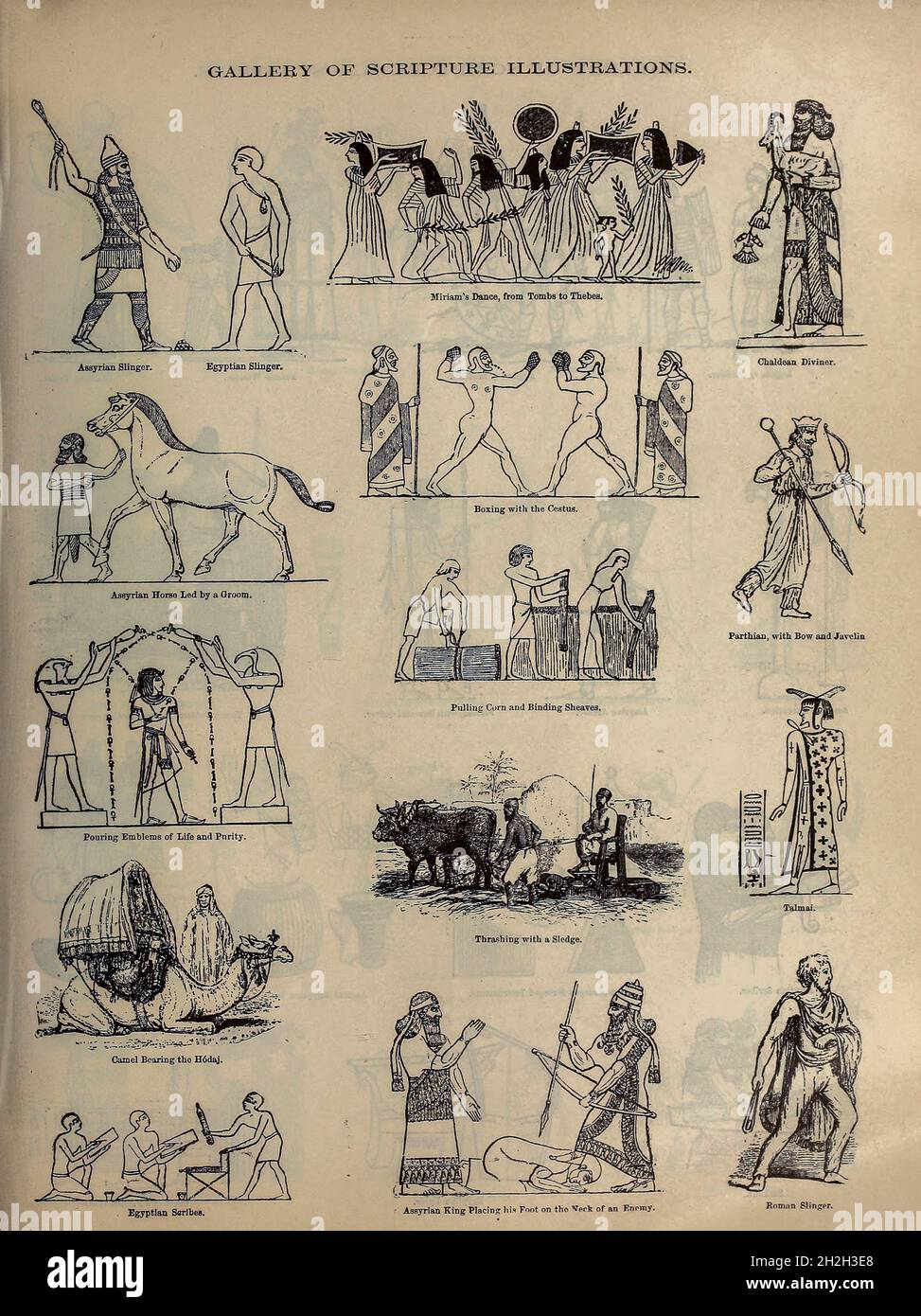 Gallery of Scripture Illustrations of Biblical Weapons and warfare from ...