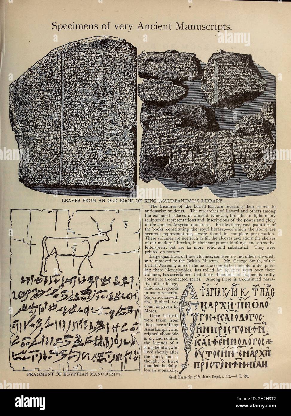 Gallery of Scripture Illustrations of Ancient Manuscripts from ' The ...