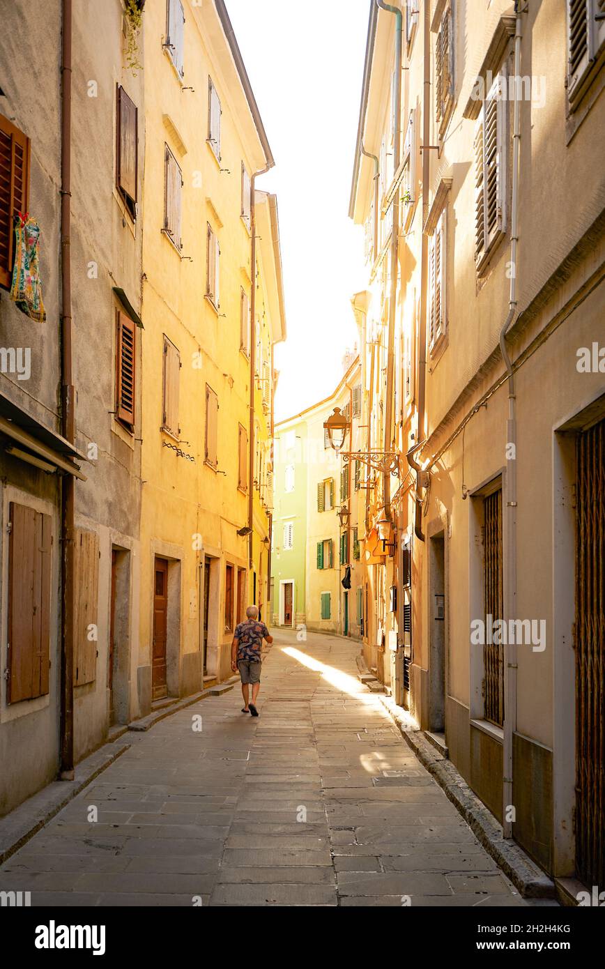 Street view of an Italian alley in summer Stock Photo - Alamy