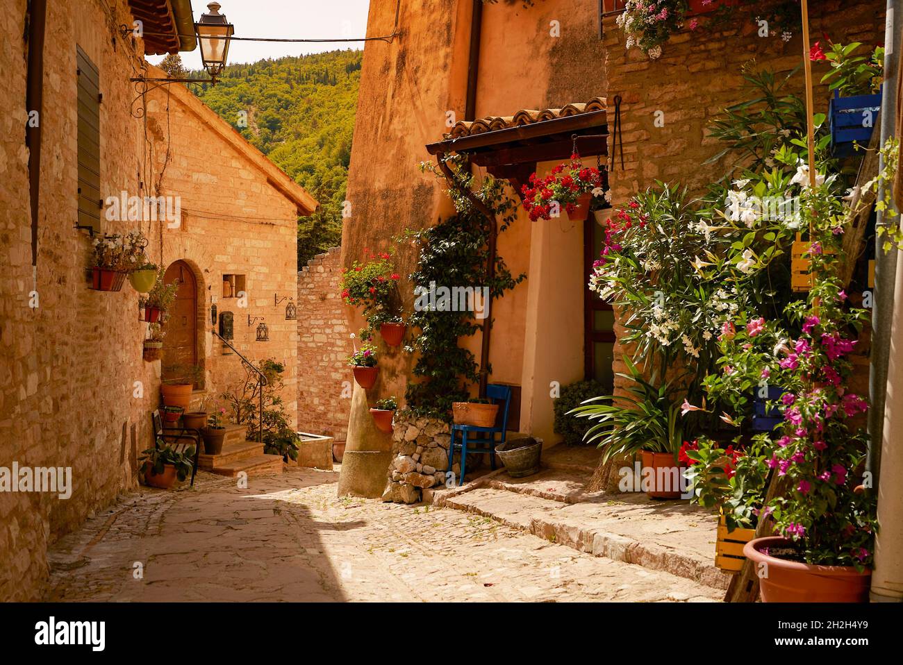Street view of an Italian alley in summer Stock Photo - Alamy