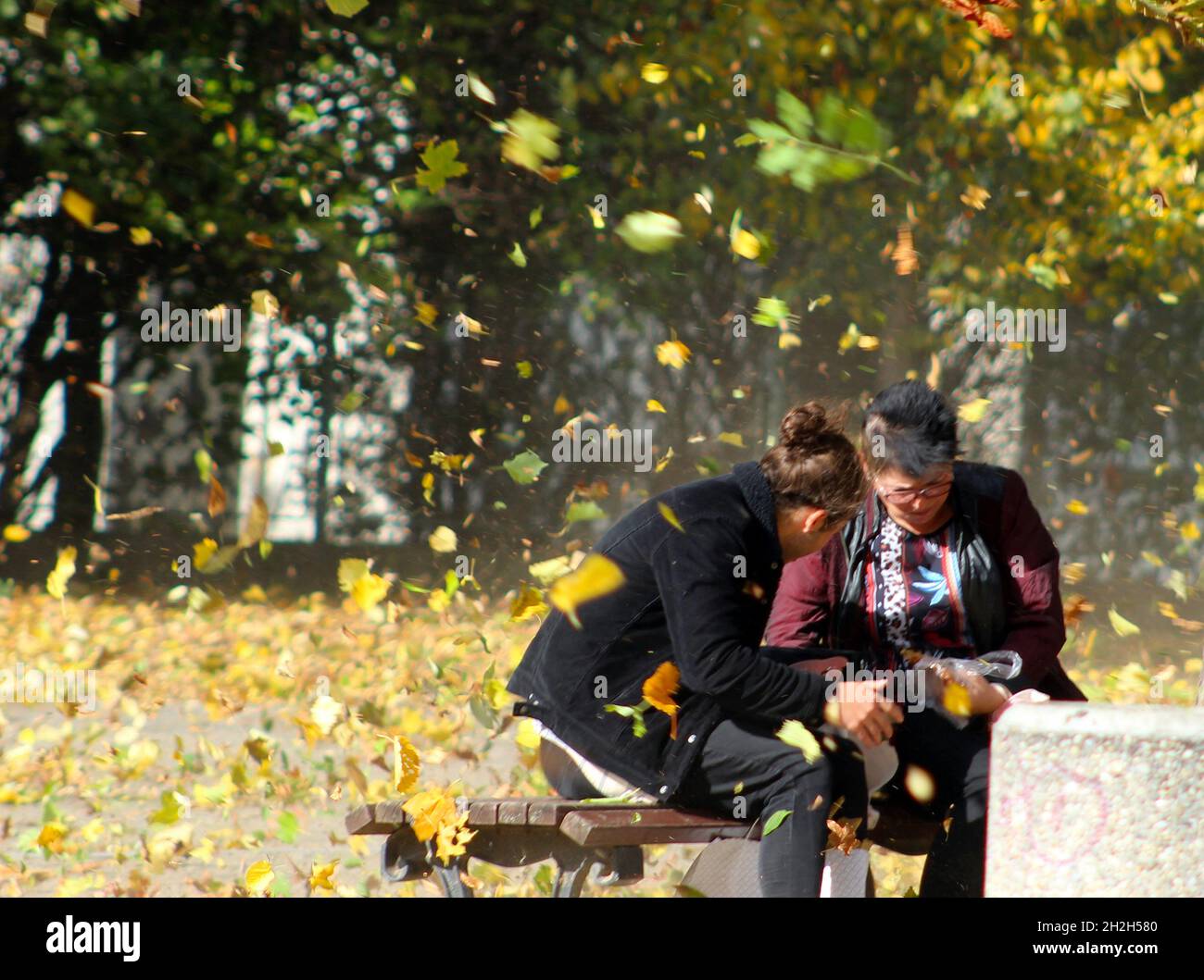 The Czech CEZ energy utility has declared the state of calamity in the ...