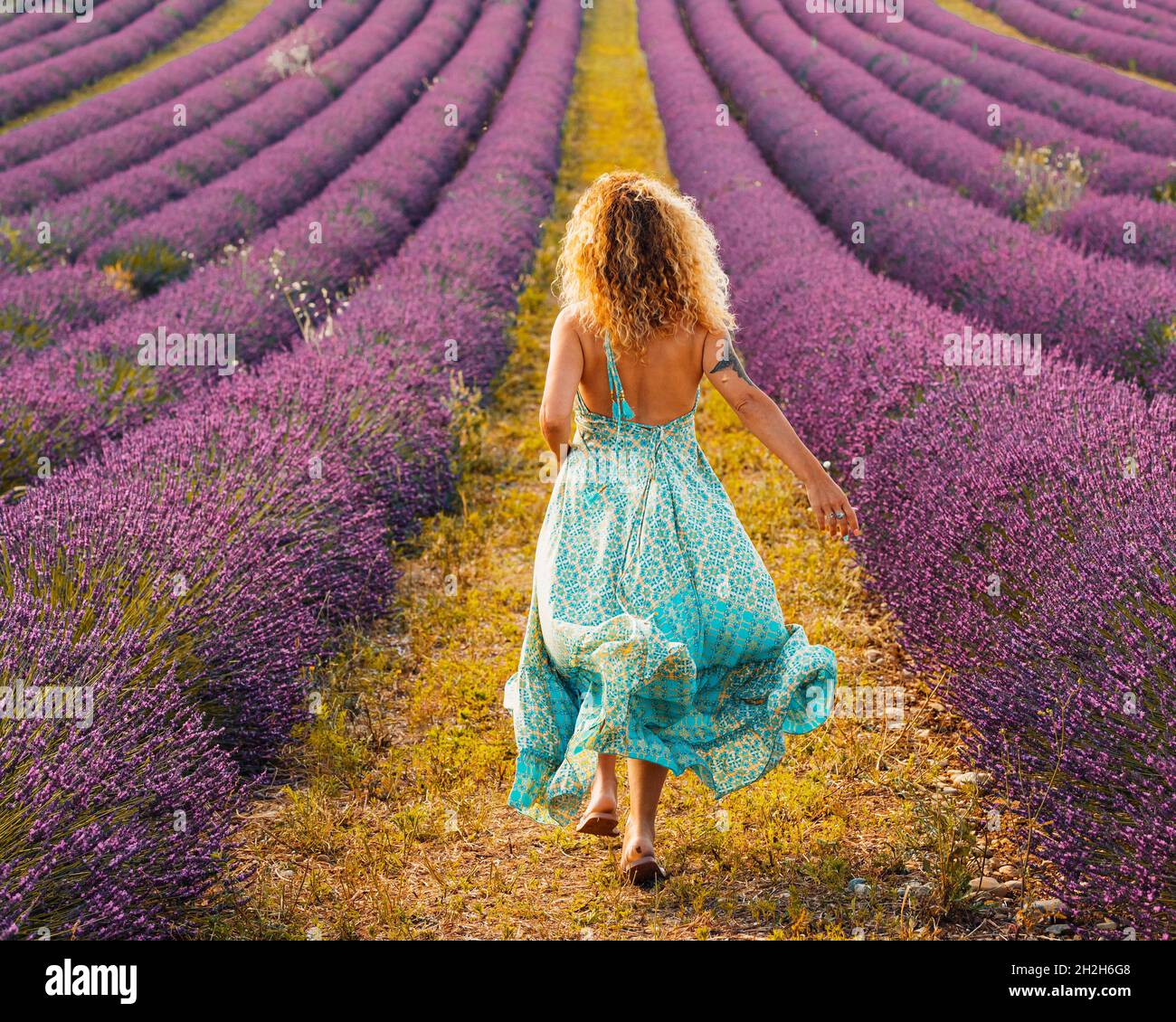 Woman in curly hair wearing blue dress and walking in violet lavender ...