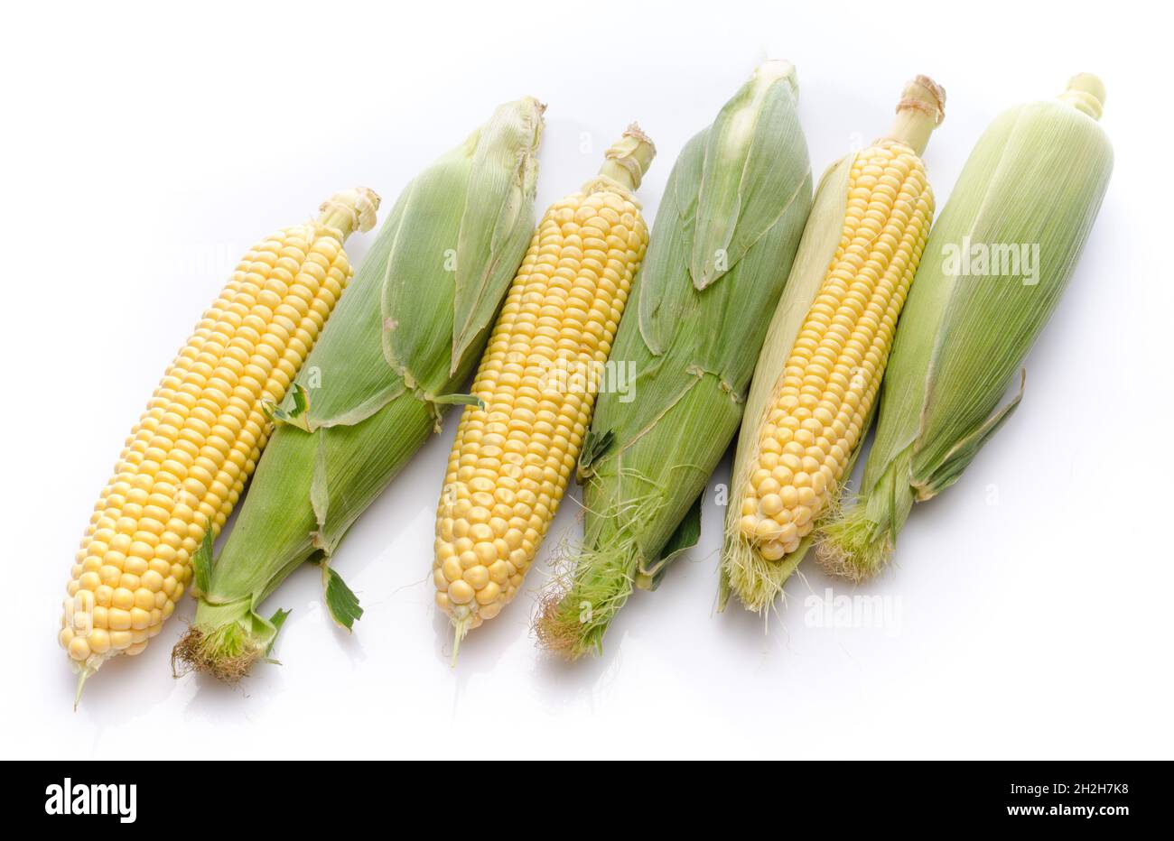 Fresh corn cob, isolated on white Stock Photo - Alamy