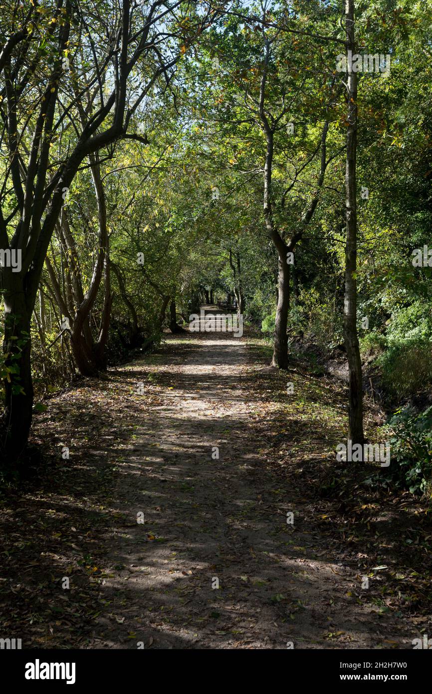 Lakes footpath hi-res stock photography and images - Alamy
