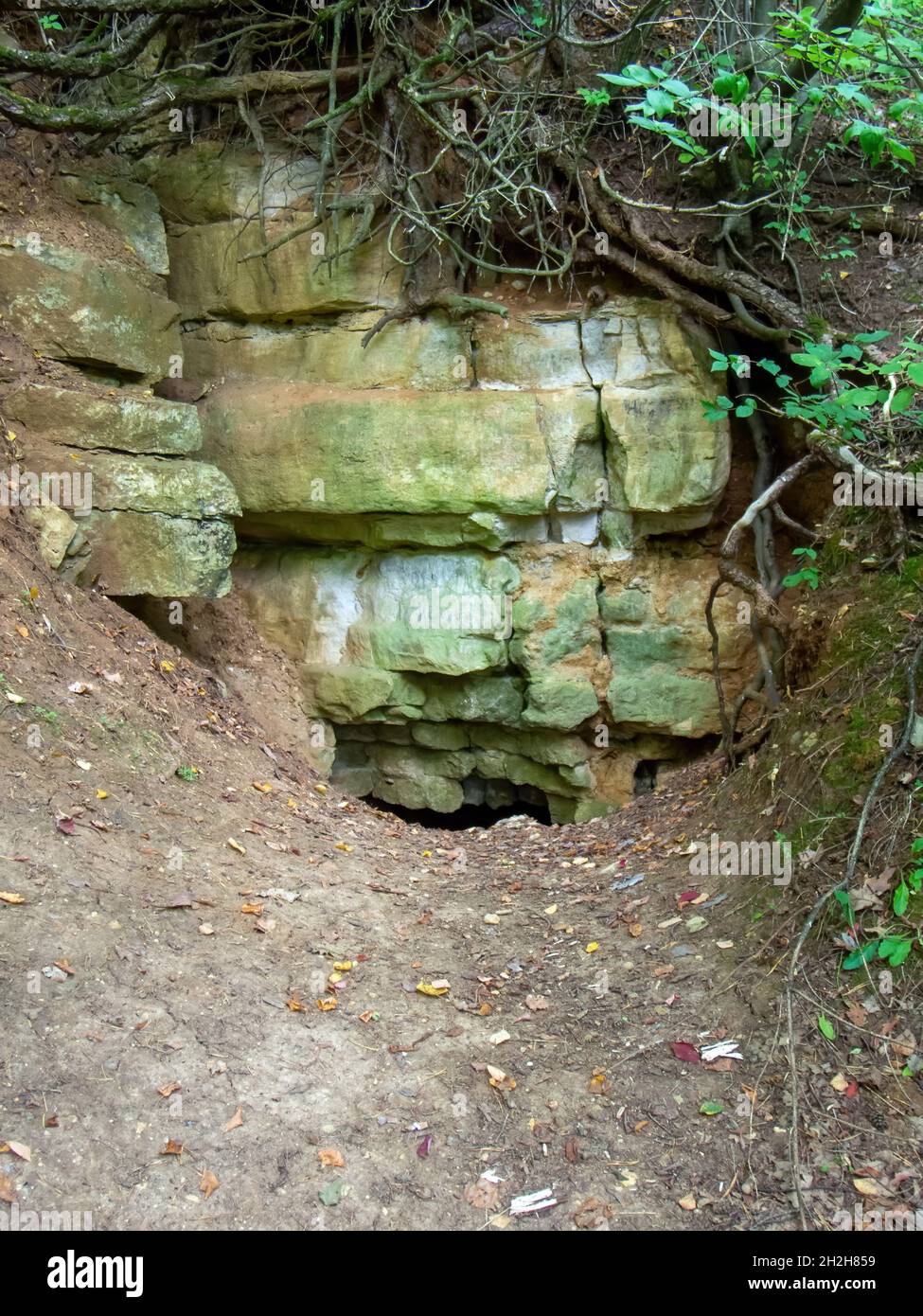 entrance to a small cave, in summer Stock Photo - Alamy