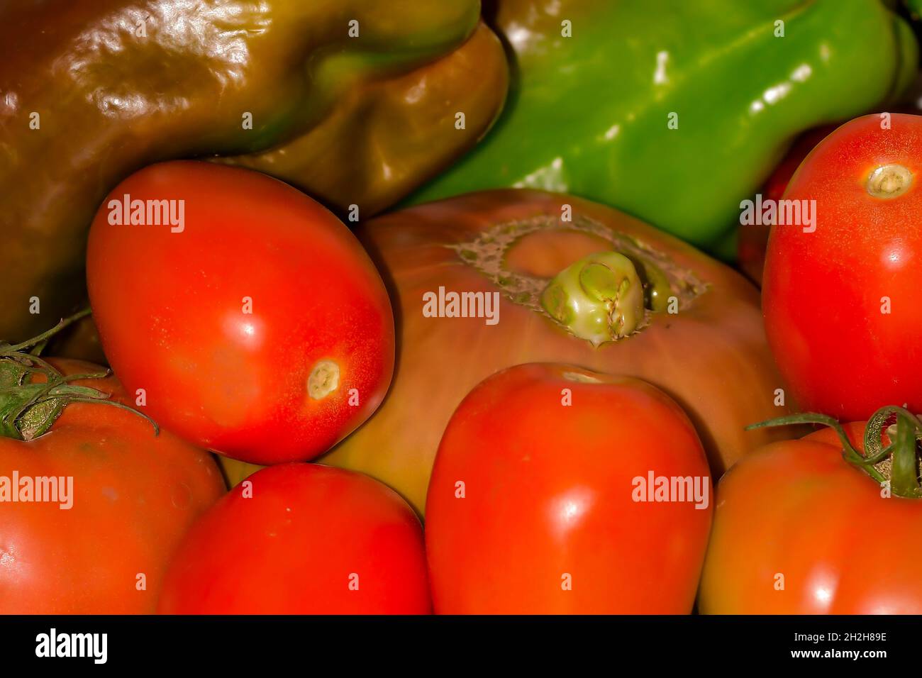 Delicious red tomatoes, summer farm farm tray Stock Photo - Alamy