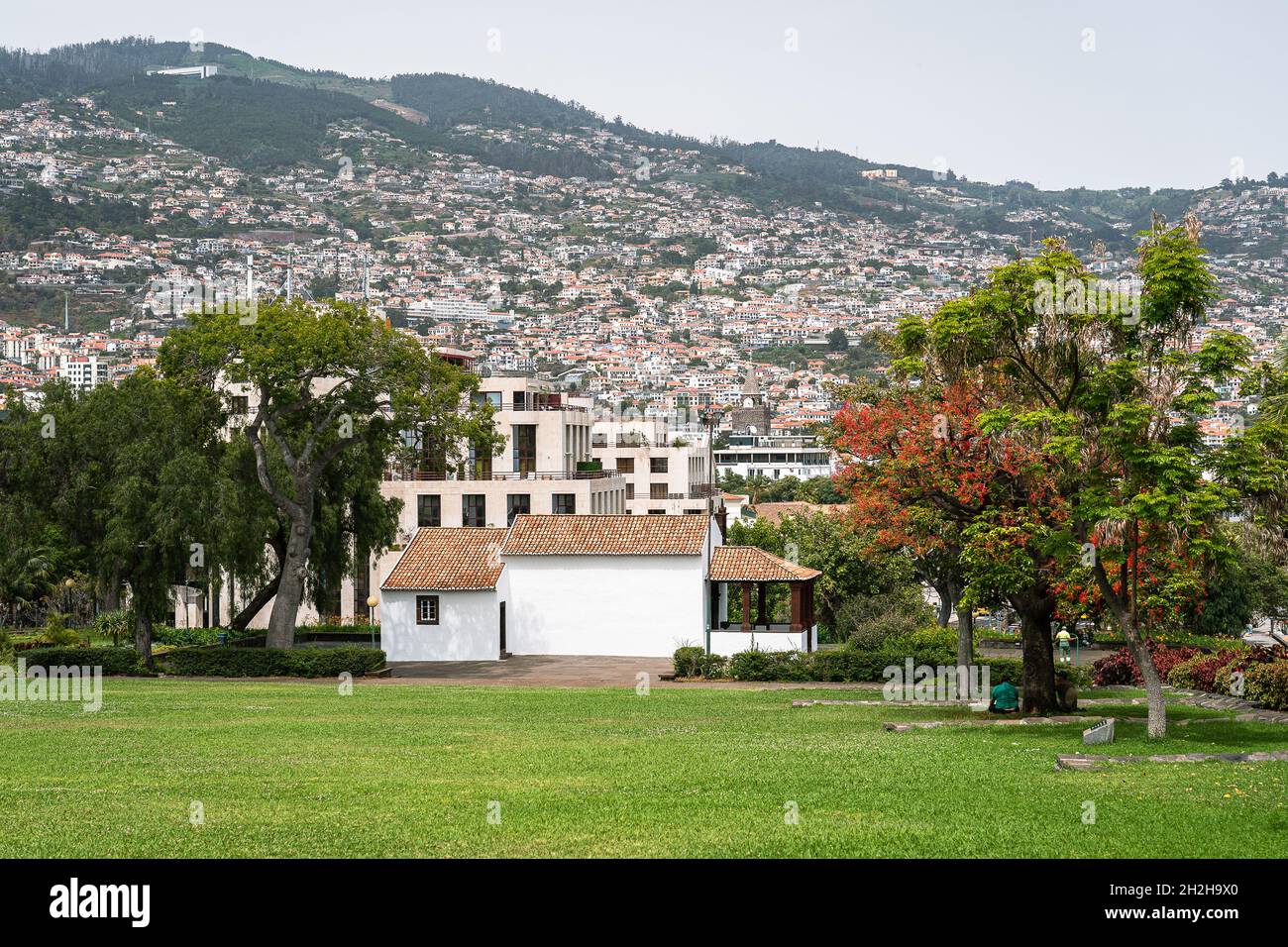 The park of Funchal city, Madeira island, Portugal Stock Photo - Alamy