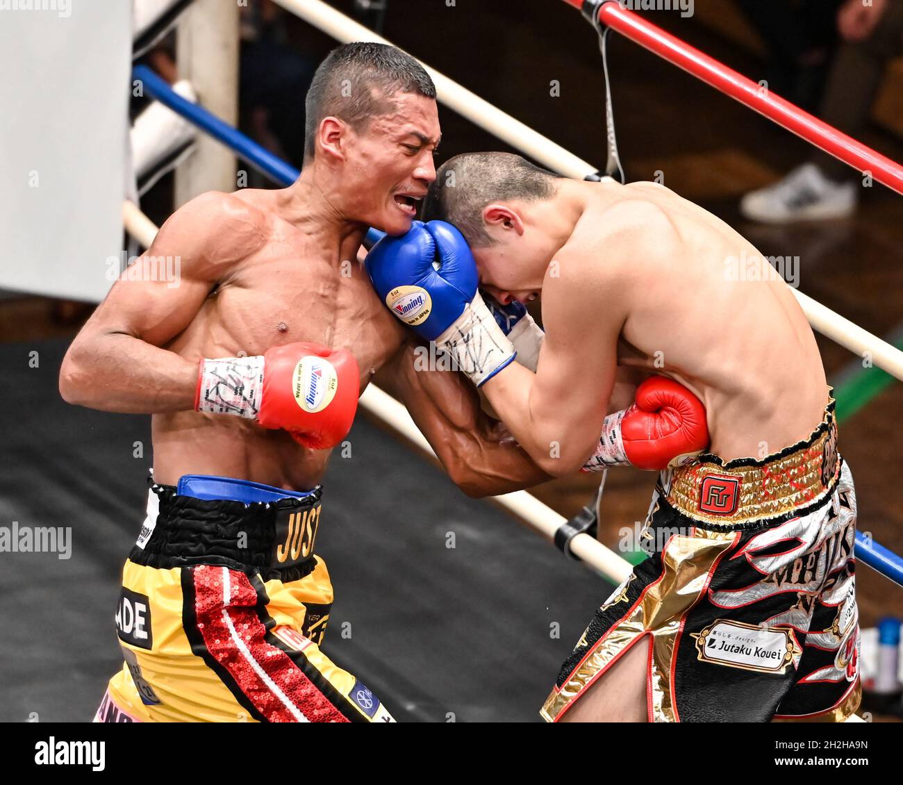 Andy Hiraoka (red gloves) and Jin Sasaki (blue gloves) compete during the vacant WBO Asia ...