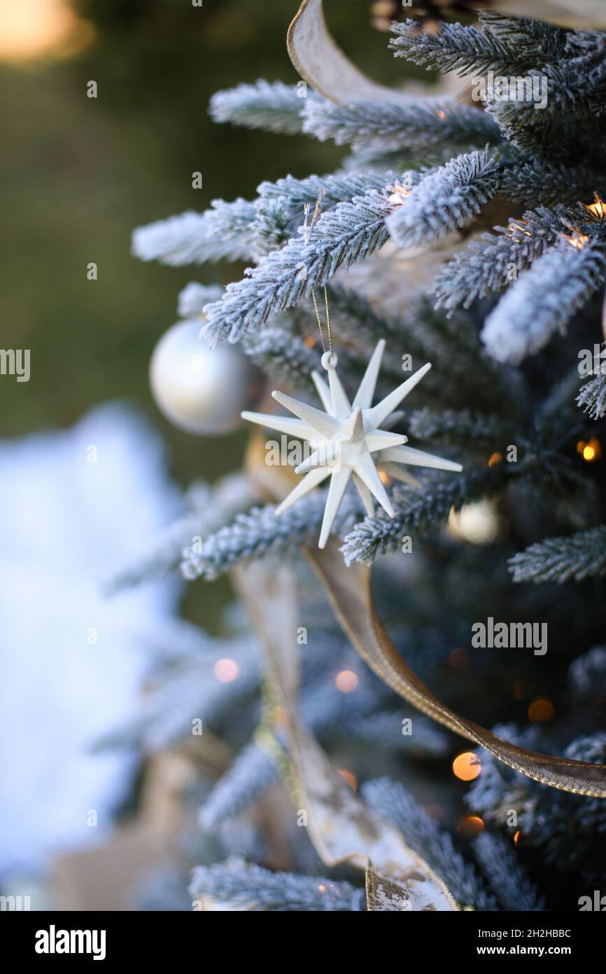 Focus on decorative silver ball star, close up of Christmas fir tree ...