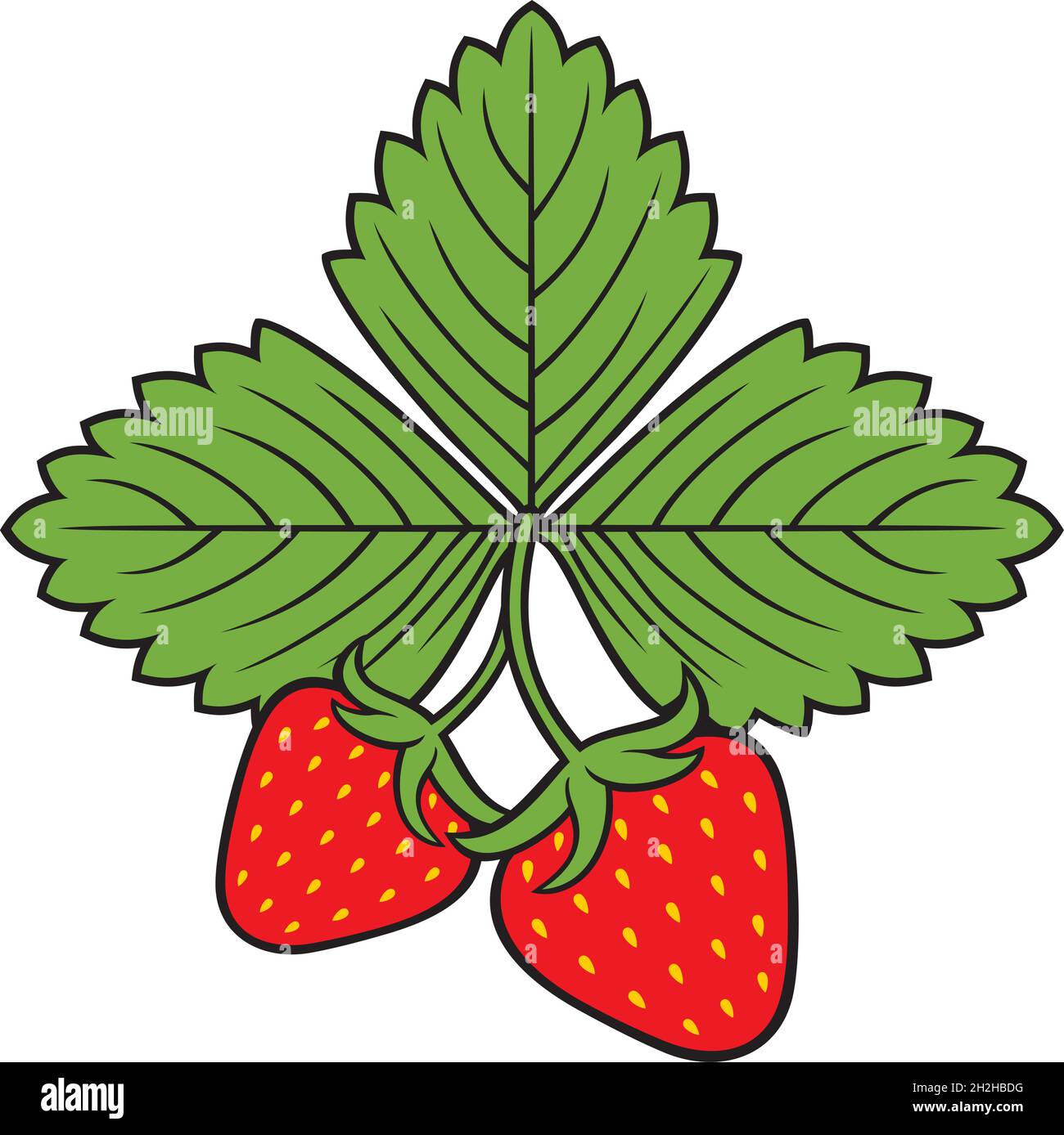 Strawberry fruit with leaf vector illustration Stock Vector Image & Art ...