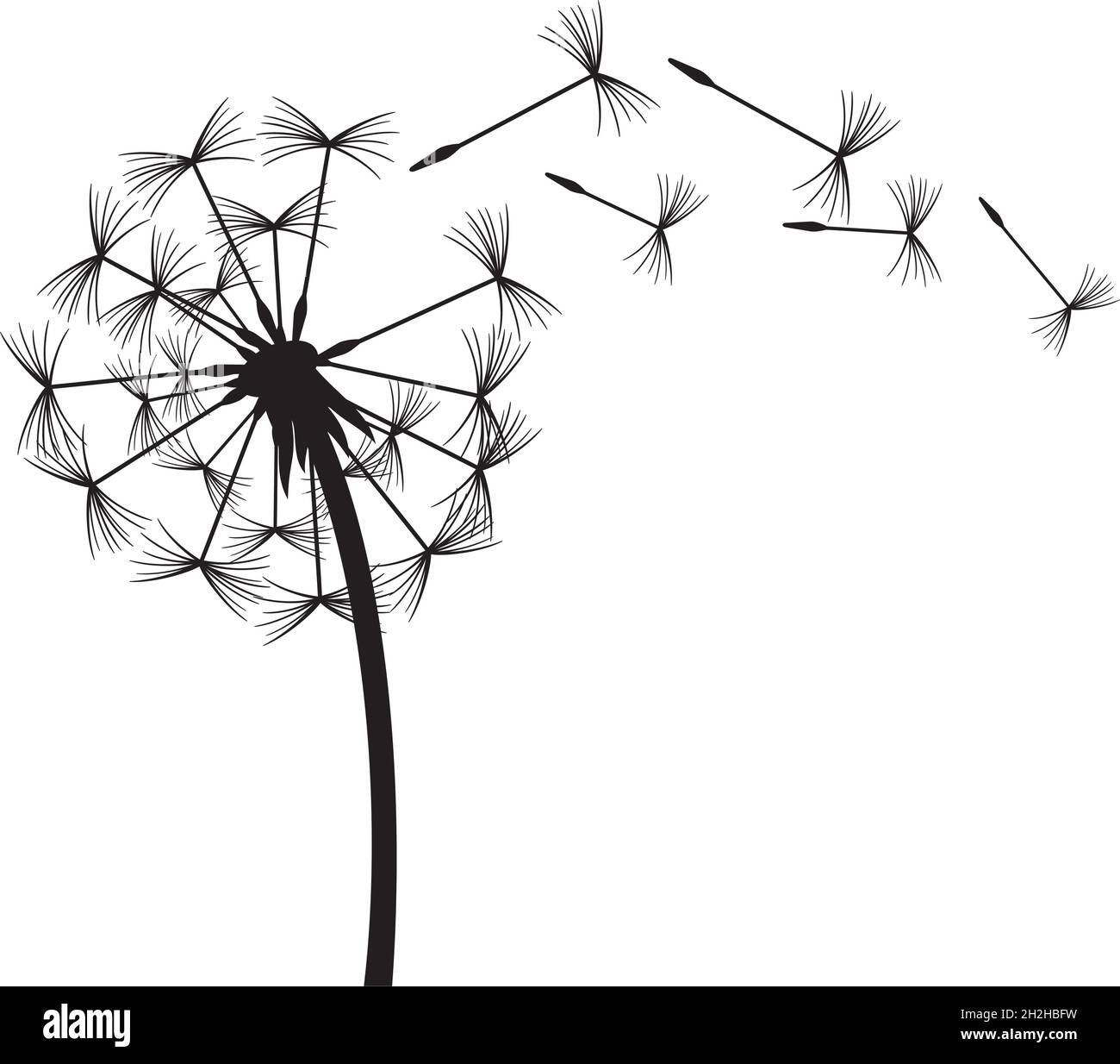 Dandelion in wind vector Stock Vector Images - Alamy