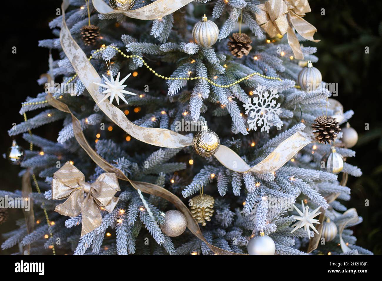 Close up of blue Christmas fir tree with decorative silver balls and ...