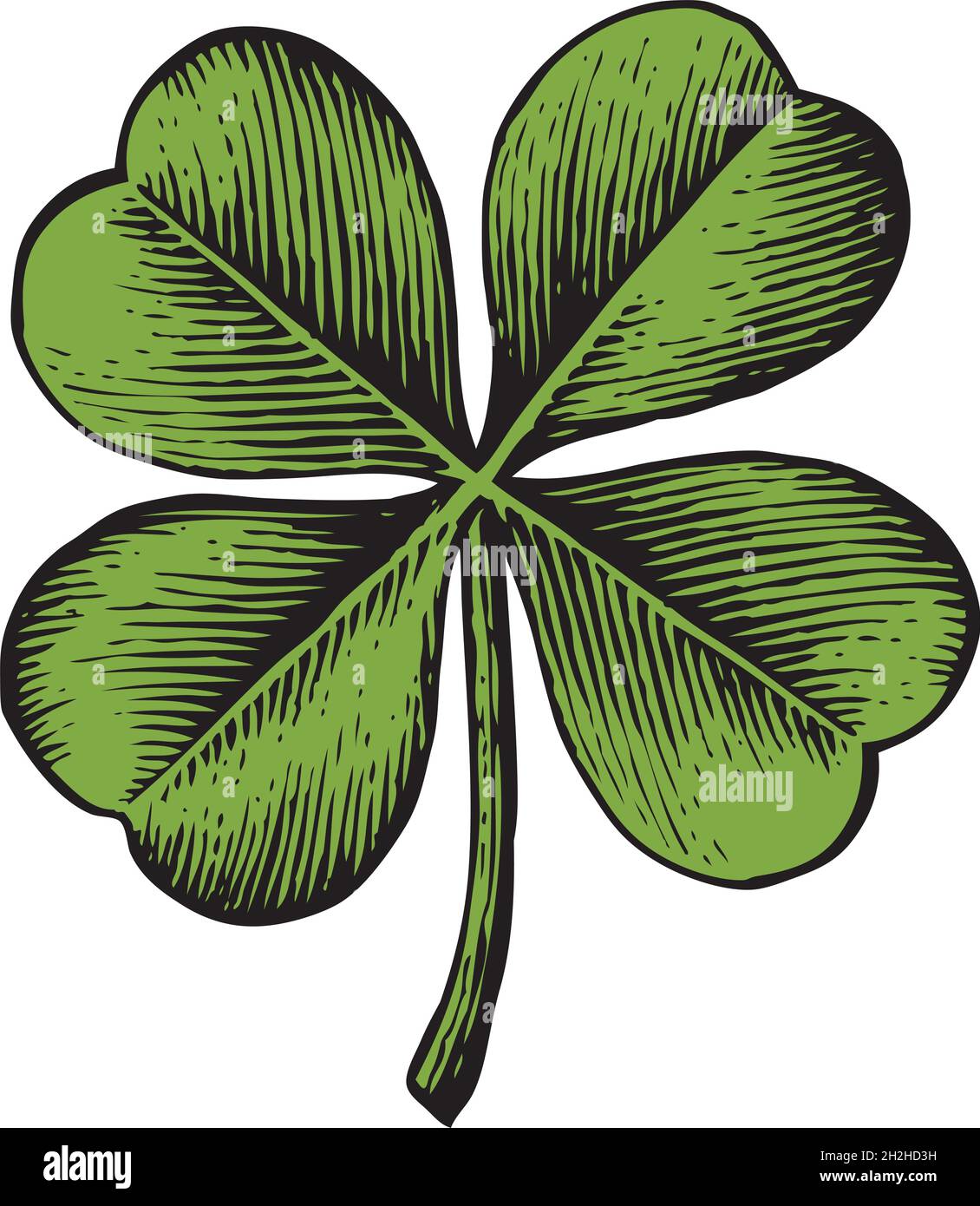 Four Leaf Clover Vector Art