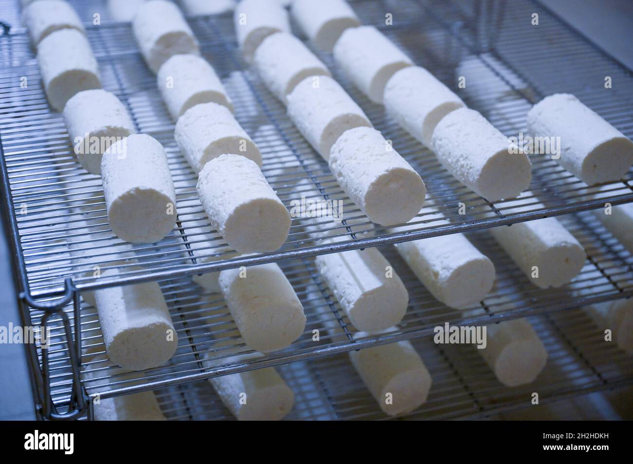 SENEGAL, Benedictine monastery Keur Moussa, monks produce goat cheese ...