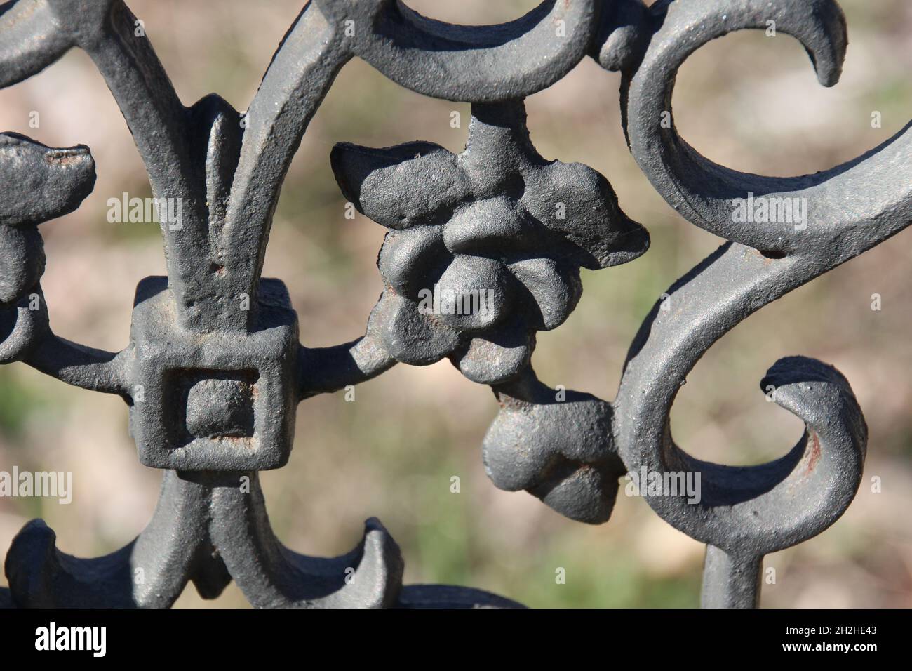 Wrought Iron Fence