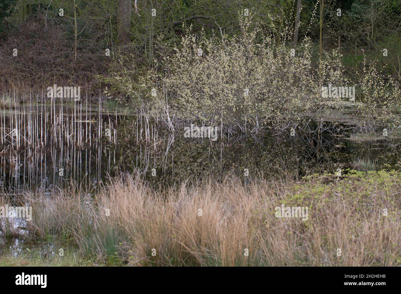 Thompson Common High Resolution Stock Photography and Images - Alamy
