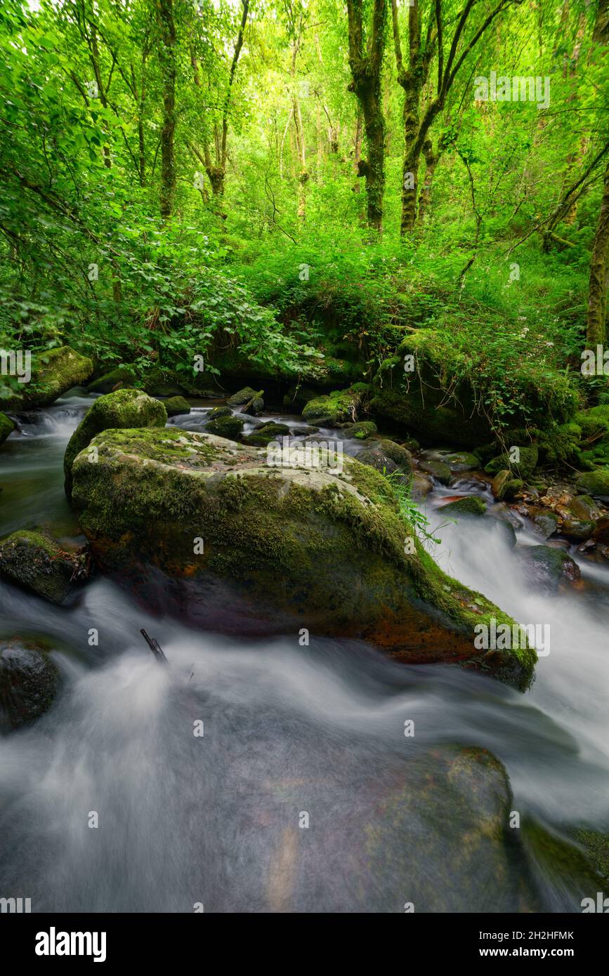 A large orange quartz boulder in the middle of a stream in the forests ...