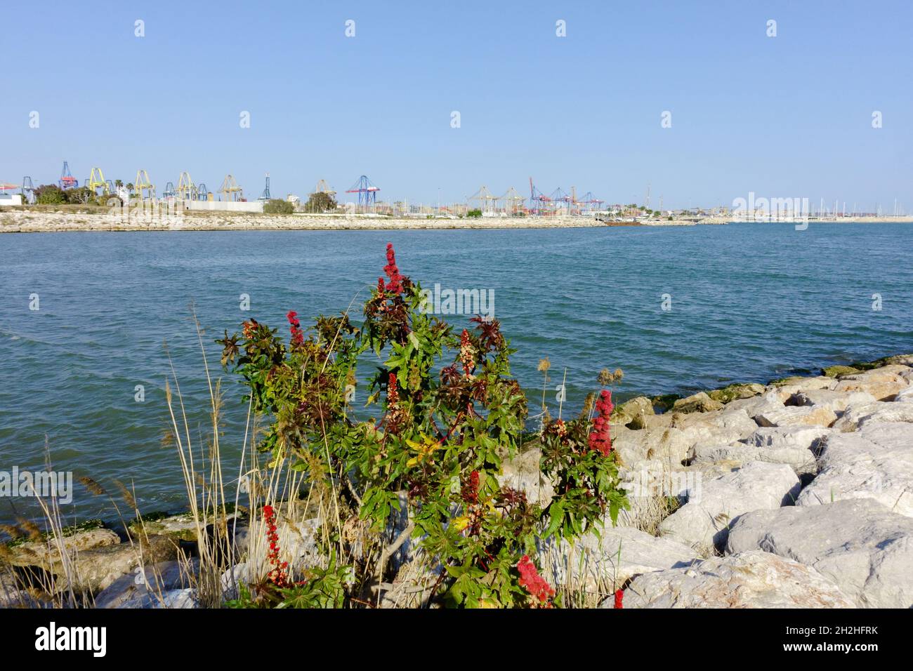 Valencia Turia river Spain flows into the sea Stock Photo - Alamy