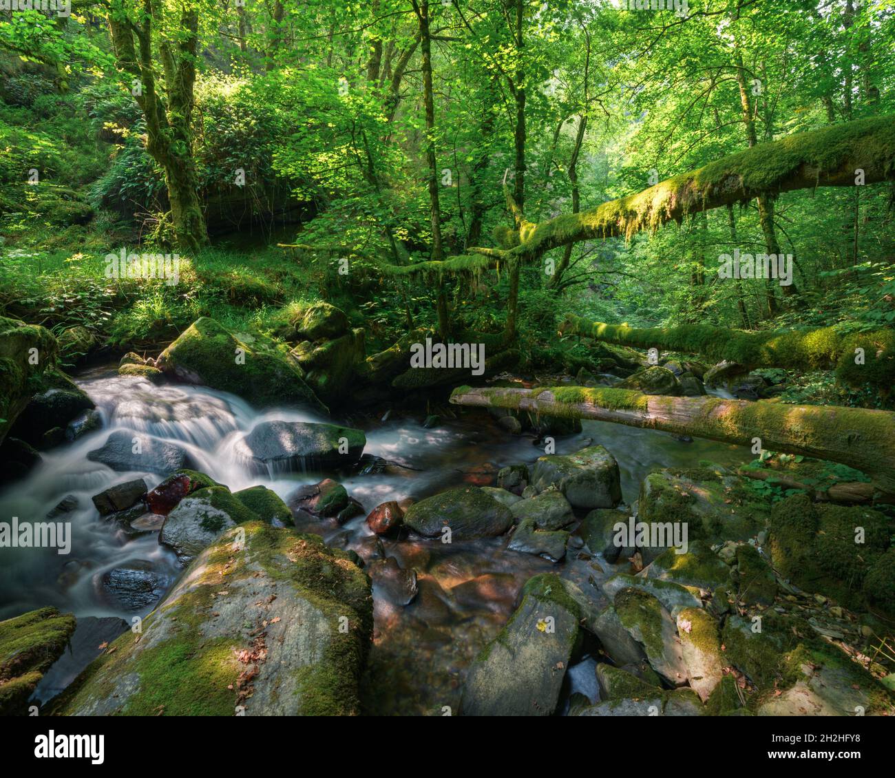A stream rushes into a steep valley among a chaos of rocks and fallen ...