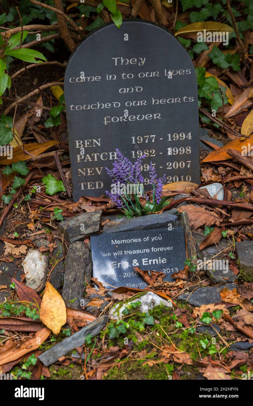Dog cemetery portmeirion hi-res stock photography and images - Alamy