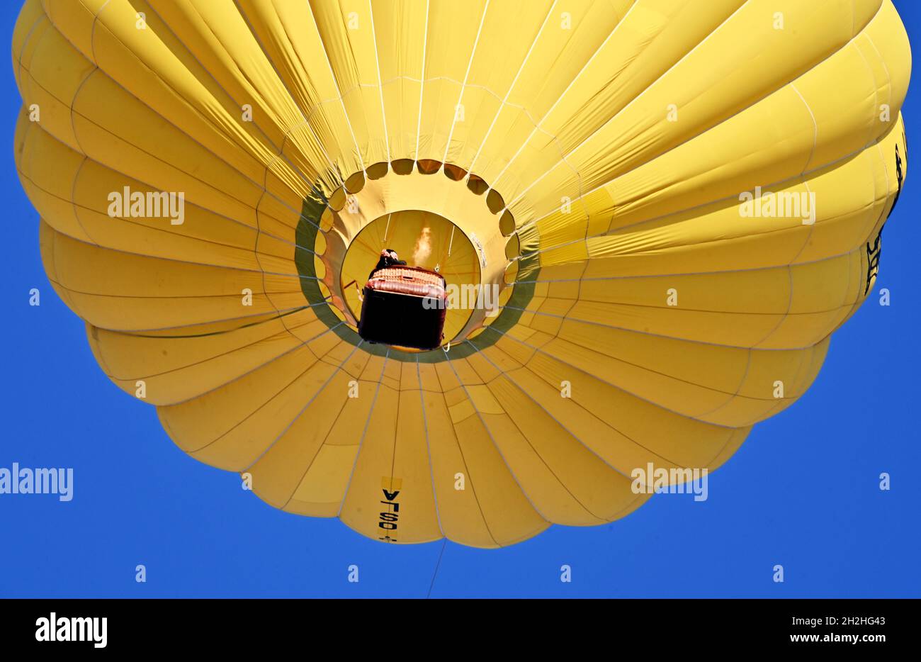 Hageville (north eastern France): “Mondial Air Ballons”, international ...