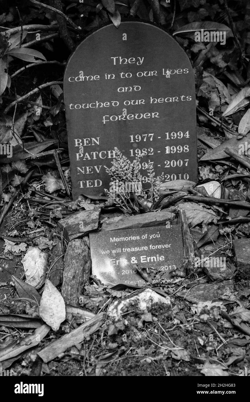 Dog Grave In Dogs Cemetery At Portmeirion, Gwynedd, North Wales Pets 