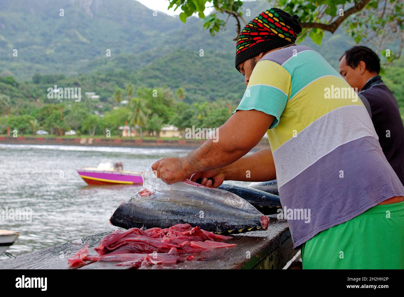 Marquesas Islands, Nuku Hiva, French Polynesia: fishermen cutting ...