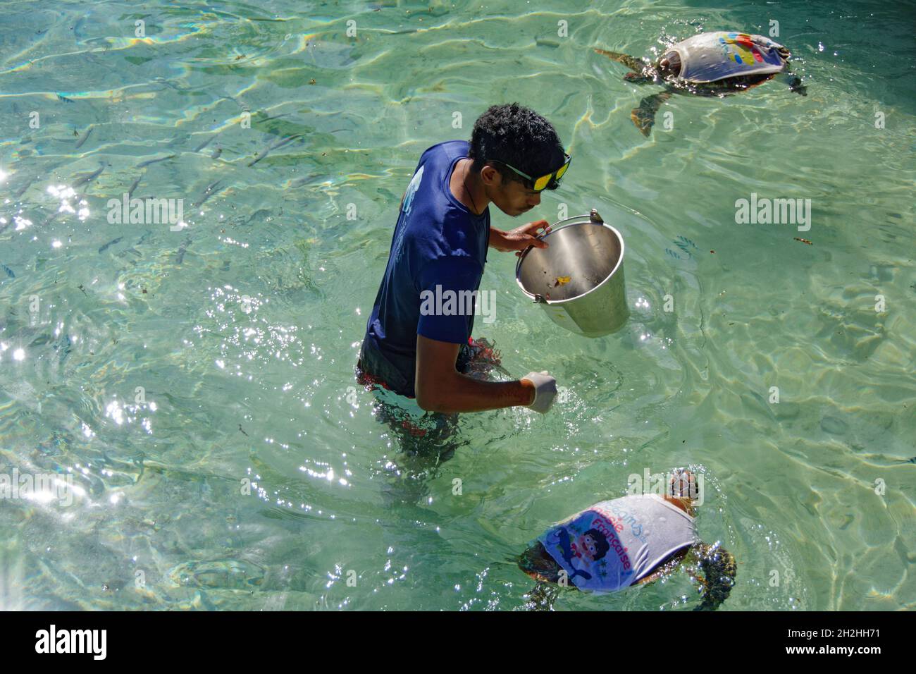 Moorea, French Polynesia: Sea Turtles Care Center, clinic managed by Te ...