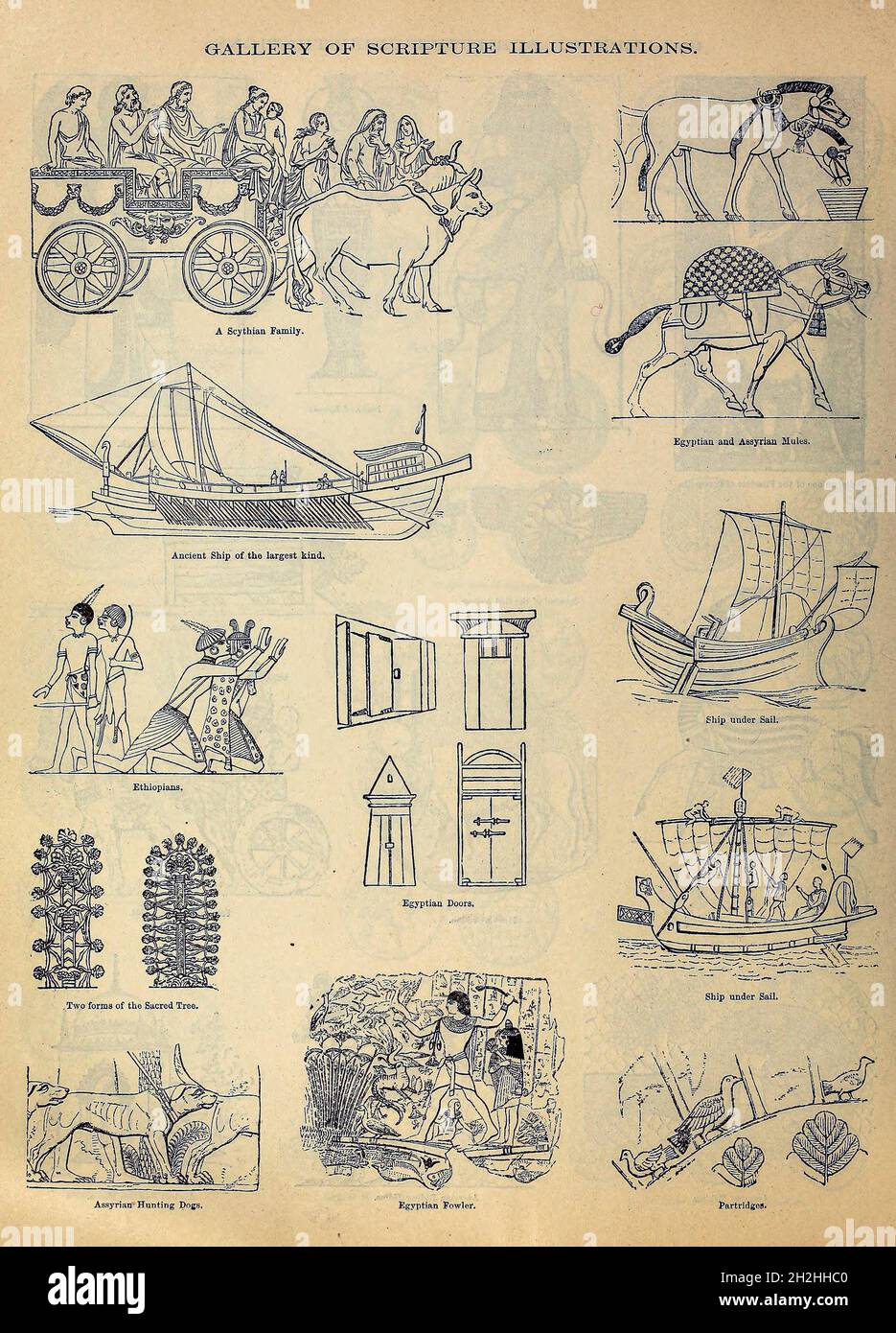 Gallery of Scripture Illustrations from ' The Doré family Bible ...